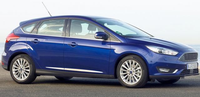 Reviews for Focus | Dog And Lemon